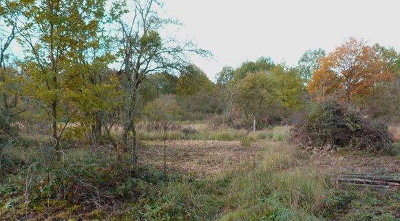 Vodelée - Natagora Entre Sambre et Meuse